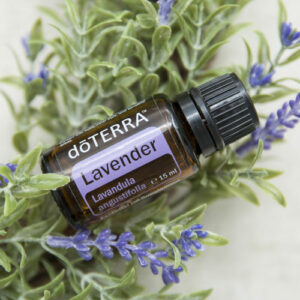 doTERRA Lavender - aroma-buddies.com